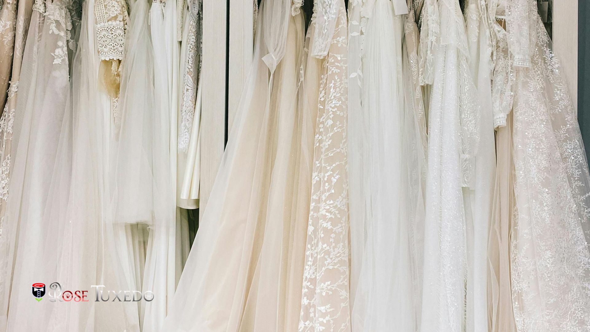 How Much Do Wedding Dresses Cost: 2025 Pricing Guide & Tips